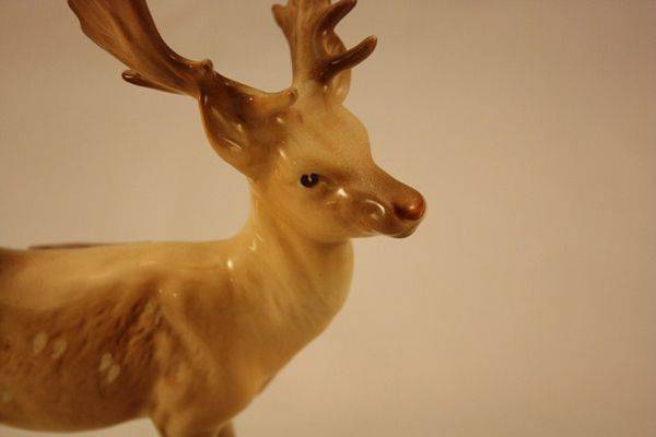 Beswick Stag | XXXX Antique Complex