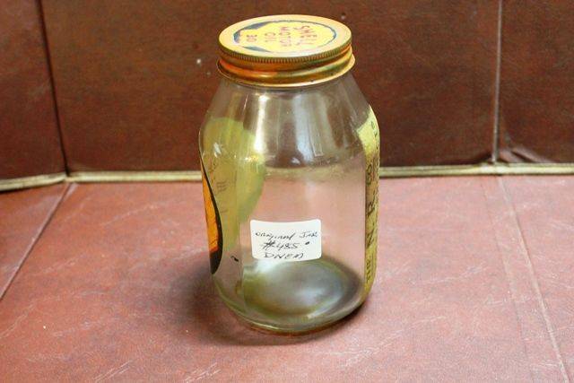 Original Shell Motor Oil Jar | XXXX Antique Complex